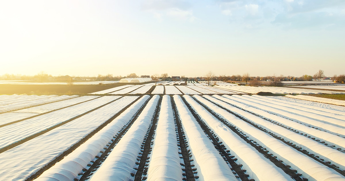 Crop Protection | OQ